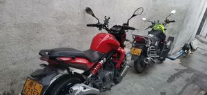 QJIANG摩托车,蓝宝龙QJ150-17A报价及图片-摩托范-摩托车官网