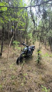 启典摩托车,KD200-U报价及图片-摩托范-摩托车官网