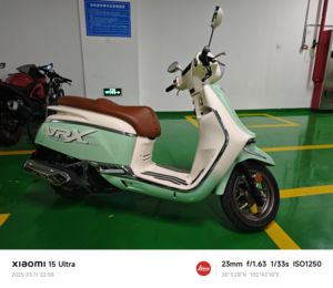 大阳摩托车,VRX150报价及图片-摩托范-摩托车官网