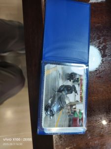 新大洲本田摩托车,NS150LA报价及图片-摩托范-摩托车官网